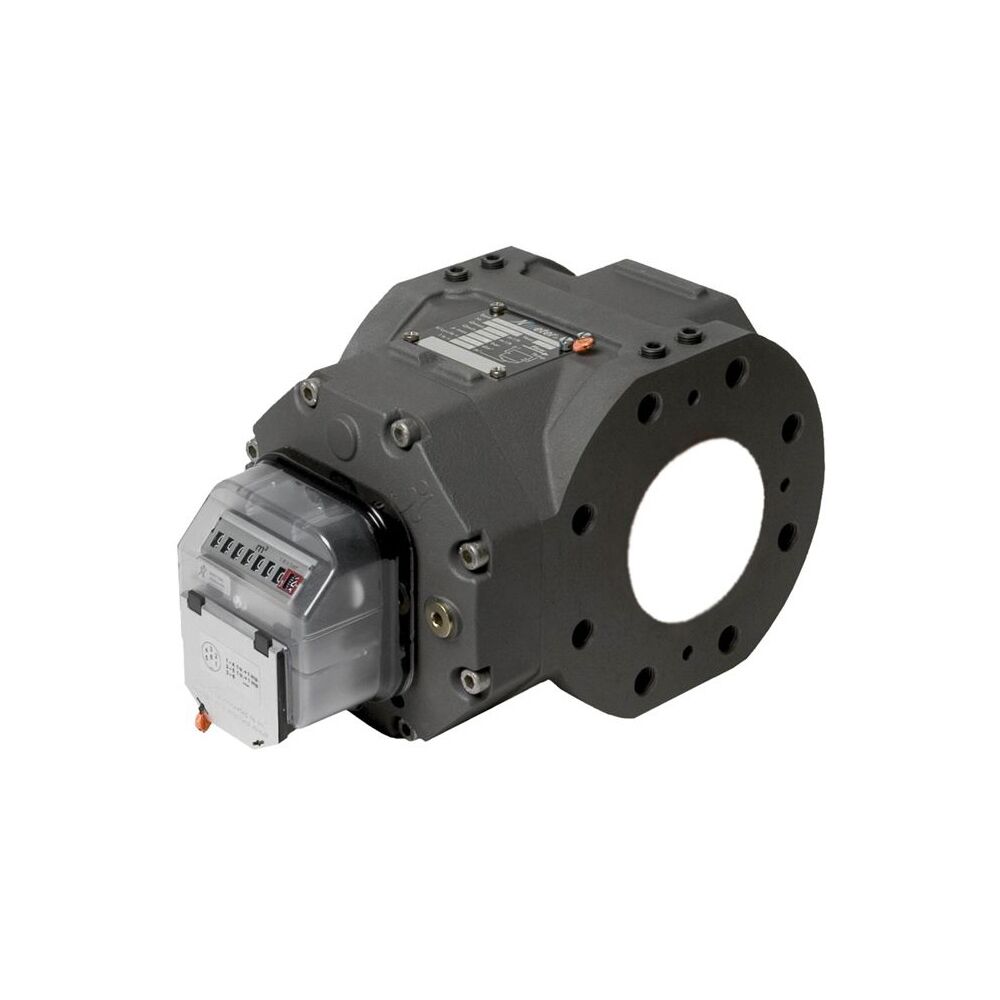 Pietro Fiorentini rotor gasmeter iM-RM G40 DN050 MP (10100CRMG40-MP ...