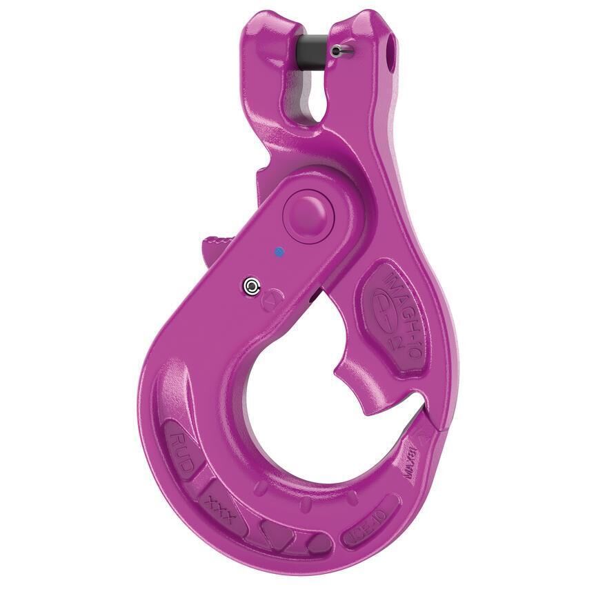 RUD ICE-Self locking hook for skip dumpers IMAGH-10 (79021133640), RUD ...