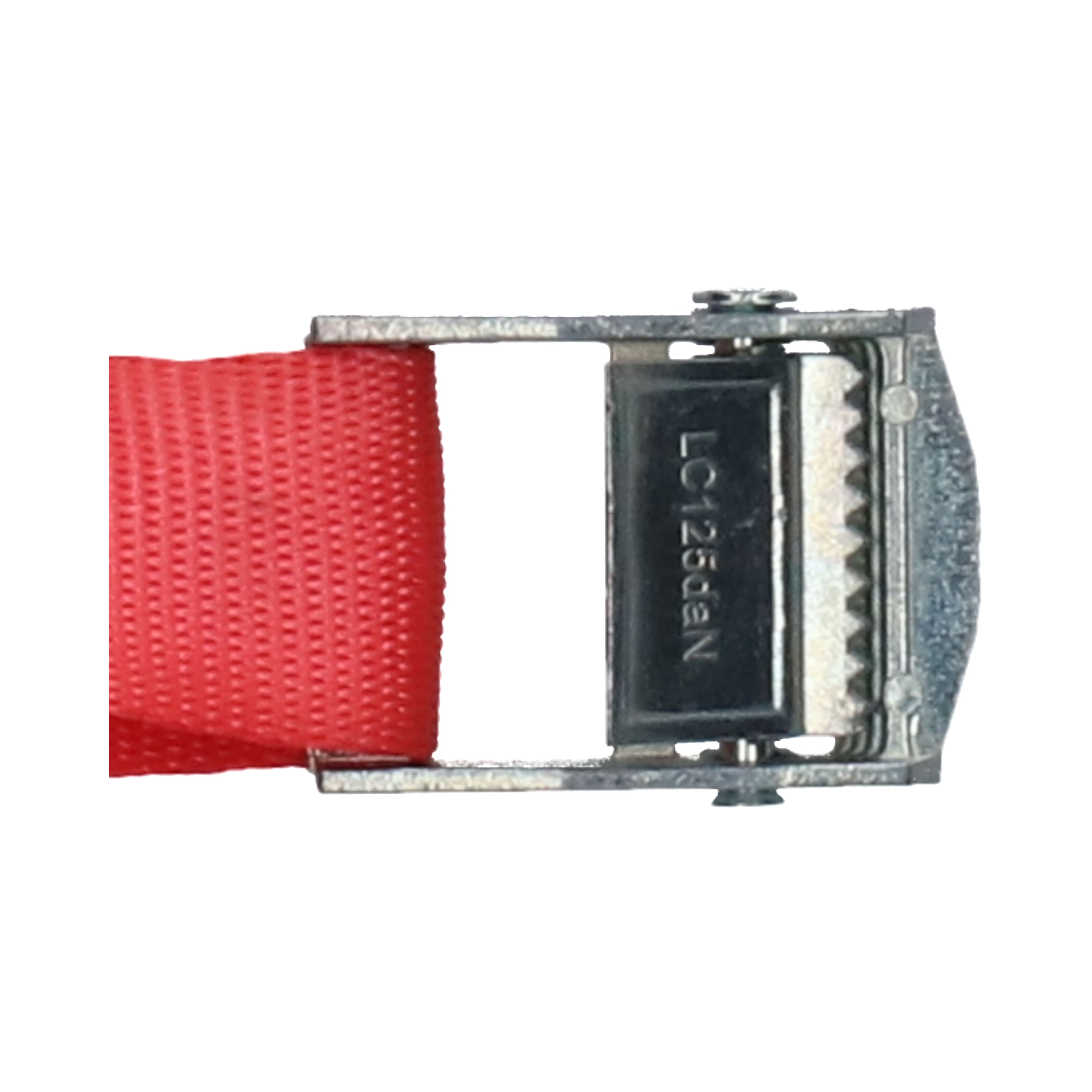 Rhiwa Quality lashing strap 25 mm - with cam buckle - 5000 mm (1343200 ...